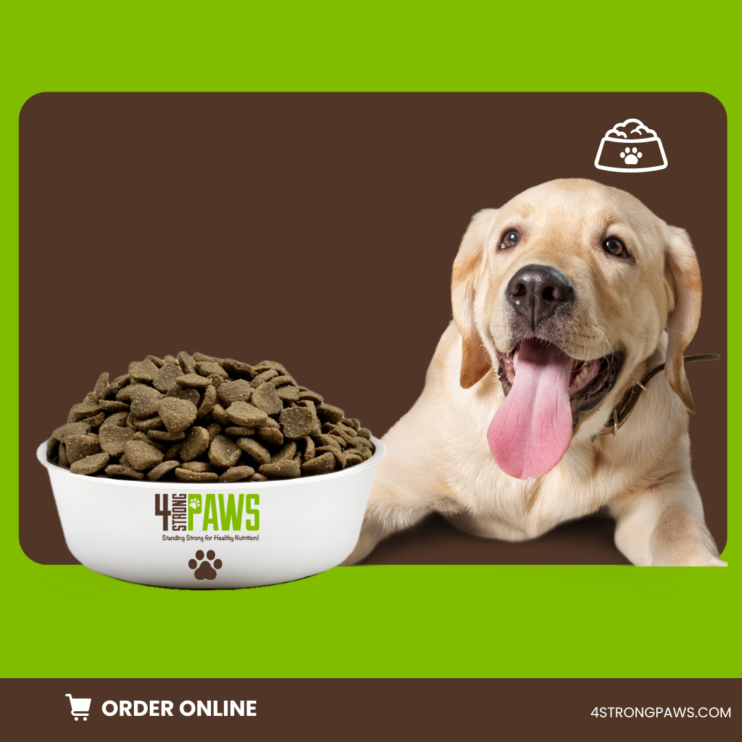 Healthy-Dog-food - 4 Strong Paws