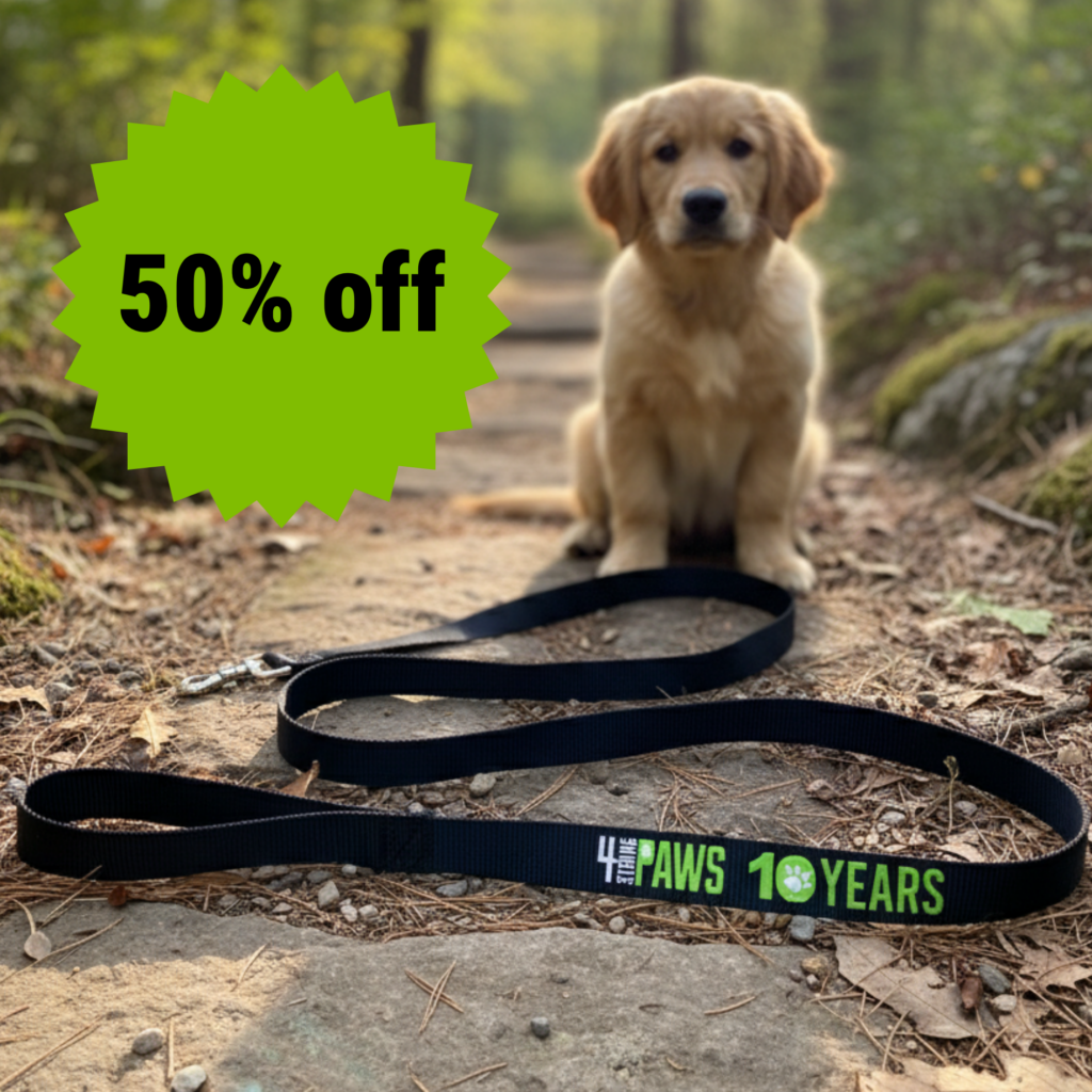 Leash - 4 Strong Paws