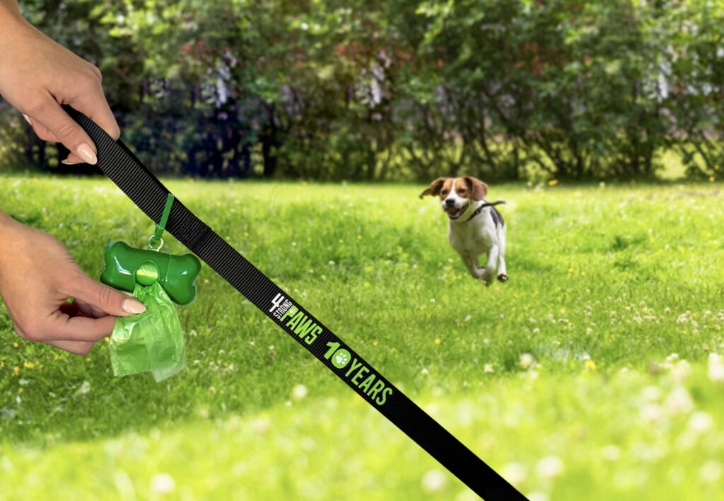 Shop the best Dog Food Products || 4StrongPaws -Dog Nutrition